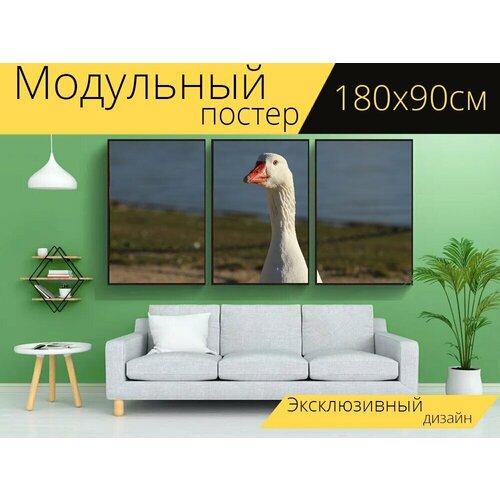 Модульный постер "Гуси, птица, животные" 180 x 90 см. для интерьера
