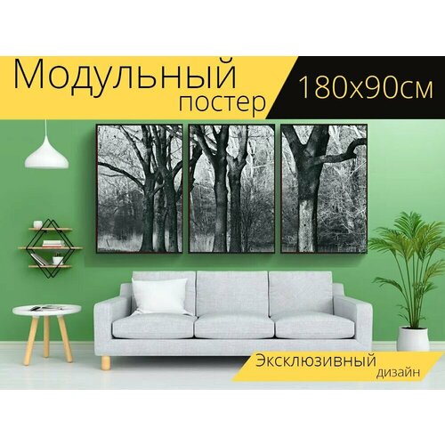 Модульный постер "Дерево, ствол, филиал" 180 x 90 см. для интерьера