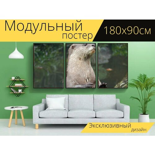 Модульный постер "Выдра, животное, милый" 180 x 90 см. для интерьера