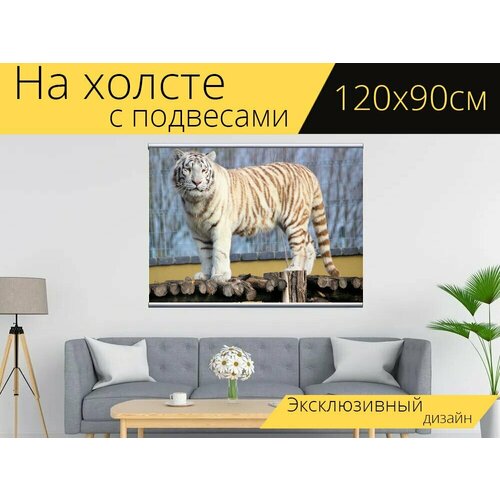 Картина на холсте "Тигр, белый, индийский" с подвесами 120х90 см. для интерьера