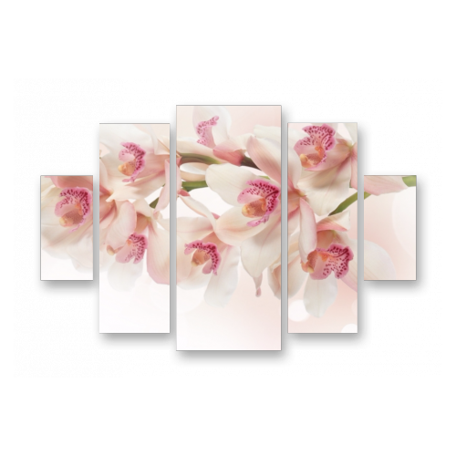 Модульная картина на холсте | Diva Kartina | Цветы. Орхидеи на ветке | 100X70 см