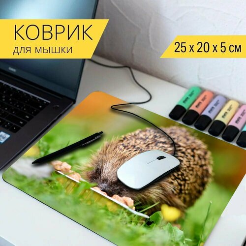 Коврик для мыши с принтом "Ежик, шпора, ханна" 25x20см.