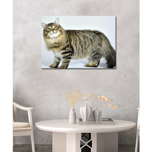 Картина - кошка, сибирская кошка, домашняя кошка, ласковая кошка, полудлинношёрстная кошка, кот (101) 30х40