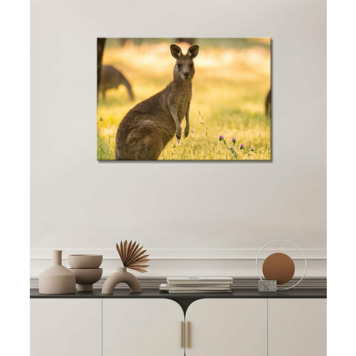 Картина - кенгуру, маленький кенгуру, длинноухий кенгуру, кенгуру в природе (19) 50х70