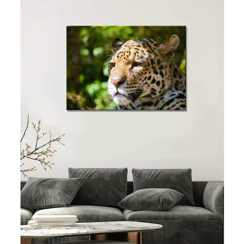 Картина/Ягур/Ягуар в джунглях/Ягуар на дереве/Черный ягуар/ - Ягуар (56) 30х40