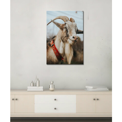 Картина - Коза, пятнистая коза, козел, пятнистый козел (7) 50х70