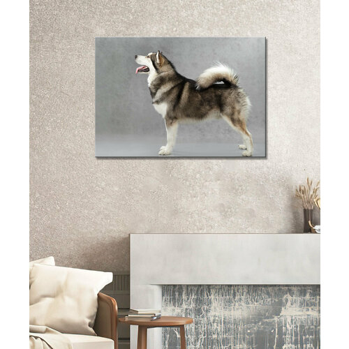 Картина - Маламут, аляскинский маламут, маламут собака, маламут порода (7) 50х70