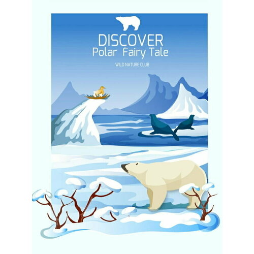 Плакат, постер на холсте Discover Polar Fairy Tale/Откройте полярную сказку/искусство/арт/абстракция/творчество. Размер 42 х 60 см