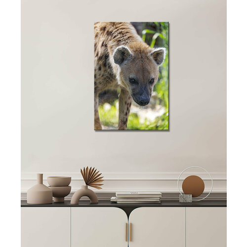 Картина - гиена, гиена в африке, хищная гиена, дикая гиена, гиена в природе (1) 30х40