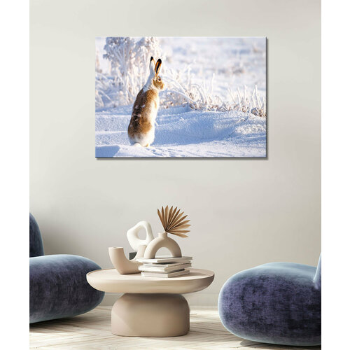Картина - Заяц, зайцы, зайчонок, зайка, ушастый заяц, пушистый заяц, белый заяц, заяц зимой (8) 50х70