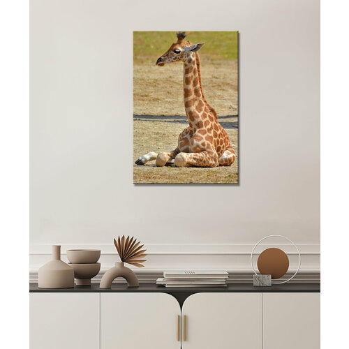 Картина - морда жирафа, жираф (7) 50х70