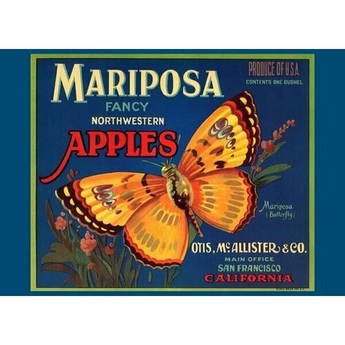 Плакат, постер на бумаге иностранный Mariposa fancy northwestern Apples. Размер 30 х 42 см