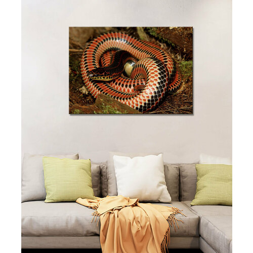 Картина - змея, разноцветная змея, красная чешуя, маленькая змея, змея в клубке (79) 50х70