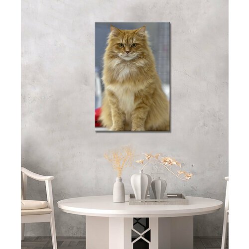 Картина - кошка, сибирская кошка, домашняя кошка, ласковая кошка, полудлинношёрстная кошка, кот (114) 50х70
