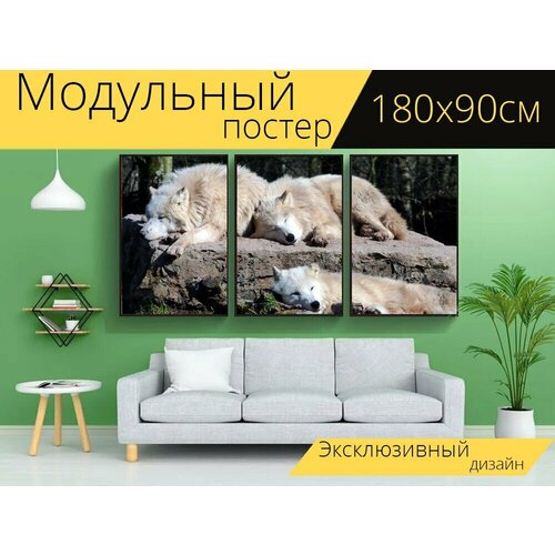 Модульный постер "Волк, млекопитающее, природа" 180 x 90 см. для интерьера