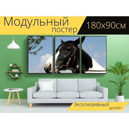 Модульный постер "Мустанг, лошадь, жеребец" 180 x 90 см. для интерьера