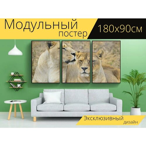 Модульный постер "Львица, лев, африка" 180 x 90 см. для интерьера