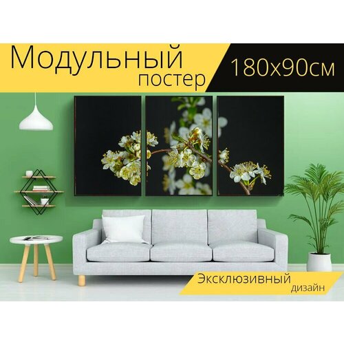 Модульный постер "Терн, цветы, лепестки" 180 x 90 см. для интерьера
