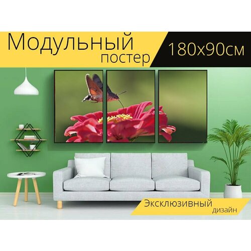 Модульный постер "Колибри ястреб моли, колибри ястребиный мотылек, насекомое" 180 x 90 см. для интерьера
