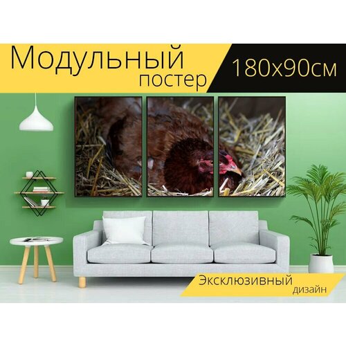 Модульный постер "Курица, стратегического анализа, гнездо" 180 x 90 см. для интерьера