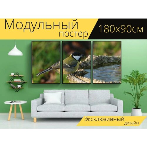 Модульный постер "Большая синица, синица, птица" 180 x 90 см. для интерьера