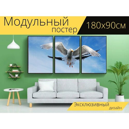 Модульный постер "Птица, чайка, небо" 180 x 90 см. для интерьера