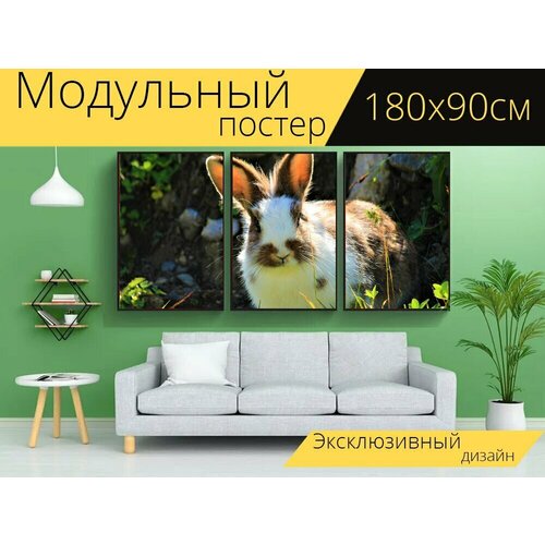 Модульный постер "Кролик, кролики, пасхальный" 180 x 90 см. для интерьера