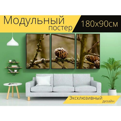 Модульный постер "Шишки лиственницы, ветви, лиственница" 180 x 90 см. для интерьера