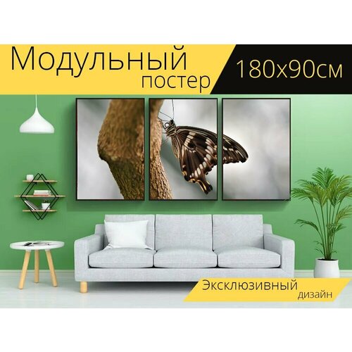 Модульный постер "Бабочка, ласточкин хвост, насекомое" 180 x 90 см. для интерьера