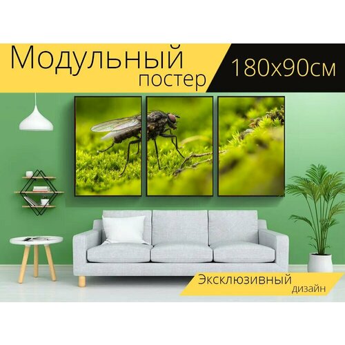 Модульный постер "Летать, сбрось муха, насекомое" 180 x 90 см. для интерьера