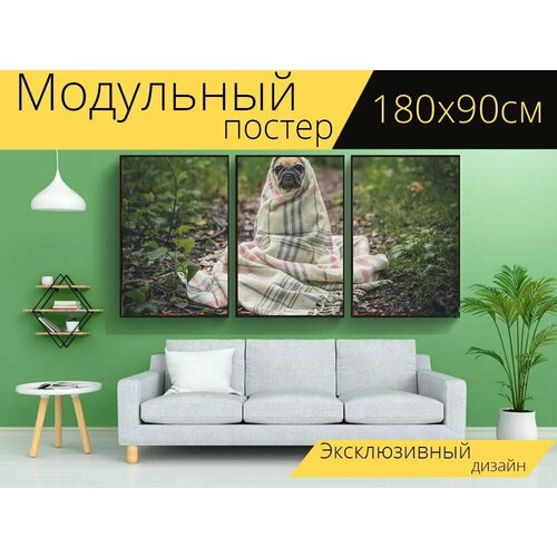 Модульный постер "Мопс, собака, одеяло" 180 x 90 см. для интерьера