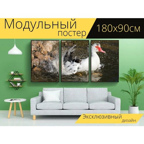 Модульный постер "Животное, ванна, утка" 180 x 90 см. для интерьера