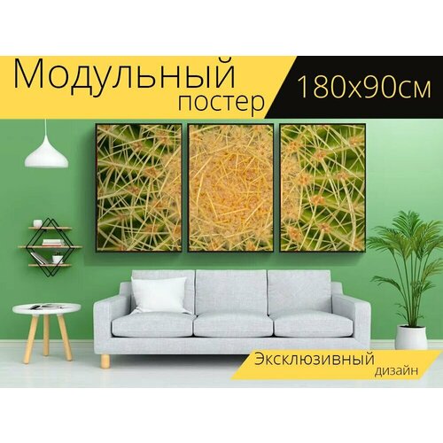 Модульный постер "Кактус, десерт, ботаника" 180 x 90 см. для интерьера