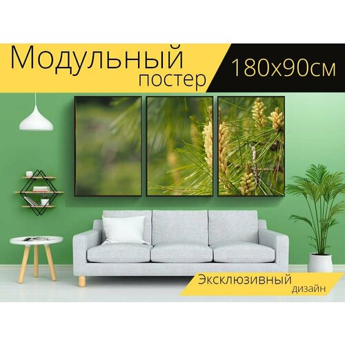 Модульный постер "Сосна, сосновый цвет, япония" 180 x 90 см. для интерьера