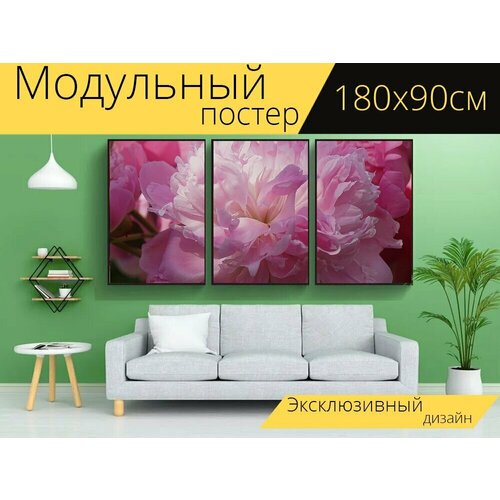 Модульный постер "Пион, пион розовый, цветок" 180 x 90 см. для интерьера
