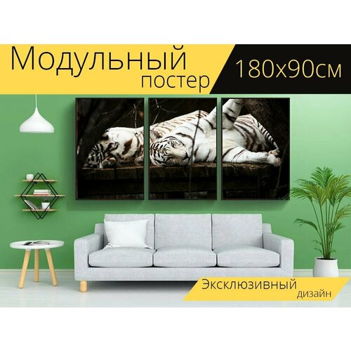 Модульный постер "Тигр, белый, кошка" 180 x 90 см. для интерьера