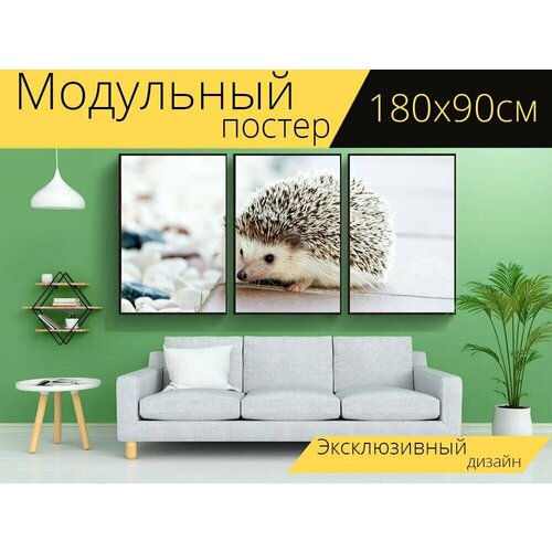 Модульный постер "Еж, животное, детка" 180 x 90 см. для интерьера