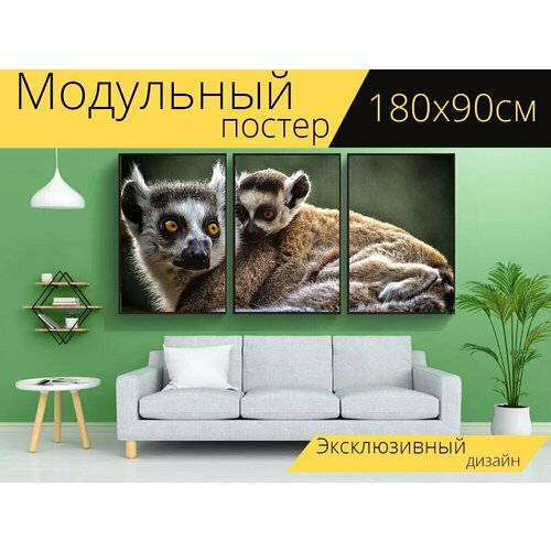 Модульный постер "Обезьяны, лемуры, дикая природа" 180 x 90 см. для интерьера