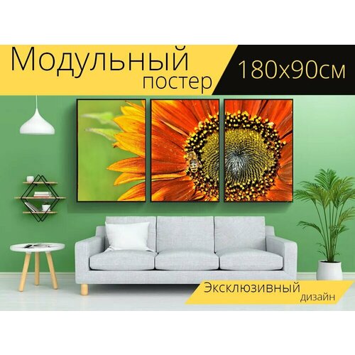 Модульный постер "Подсолнух, цветок, пчела" 180 x 90 см. для интерьера
