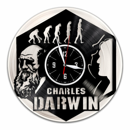 Чарльз Дарвин - настенные часы из виниловой пластинки (с серебряной подложкой)