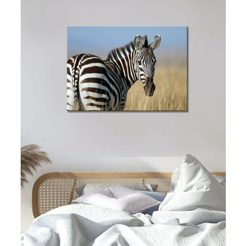 Картина - Зебра, полосатая зебра, красивая зебра, хвост зебры (19) 40х60