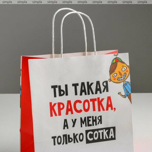 Пакет подарочный «Красотка», 22 х 22 х 11 см