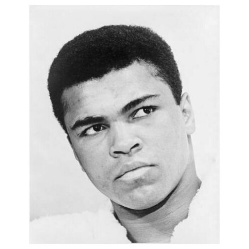 Плакат, постер на холсте Muhammad Ali/Мохаммед Али. Размер 30 х 42 см