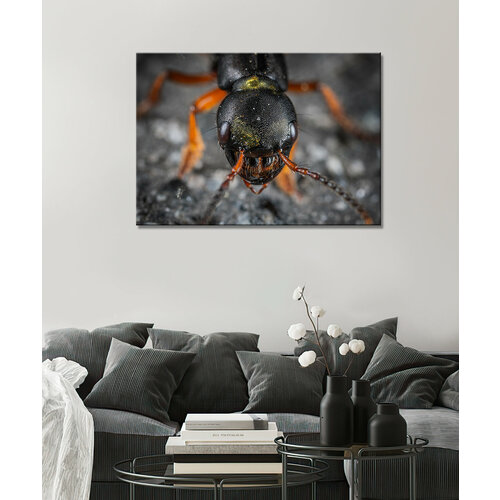 Картина -Муравей, муравей макро, муравей близко (9) 30х40