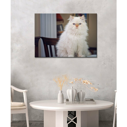 Картина - кошка, персидская кошка, домашняя кошка, ласковая кошка, кот (314) 40х60