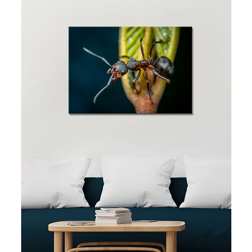 Картина - Муравей, муравей макро, муравей близко (21) 50х70