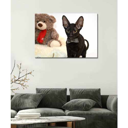 Картина - кошка, корниш-рекс, чёрный кот, волнистая шерсть, короткошёрстная кошка, домашняя кошка, ласковая кошка, кот (144) 30х40