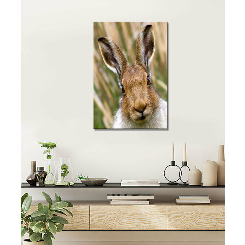 Картина - Заяц, зайцы, зайчонок, зайка, ушастый заяц, пушистый заяц, морда зайца, шустрый заяц (29) 50х70