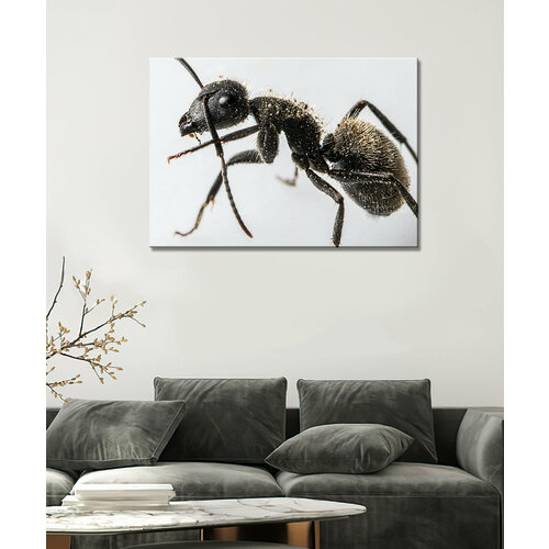 Картина -Муравей, муравей макро, муравей близко (14) 50х70