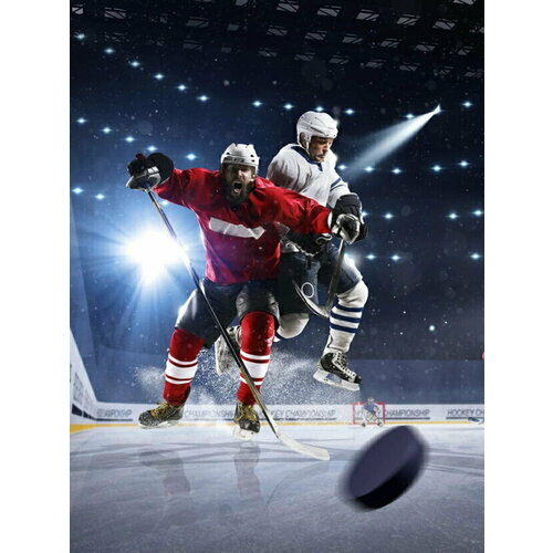 Плакат, постер на бумаге Hockey/Хоккей/спорт. Размер 42 х 60 см